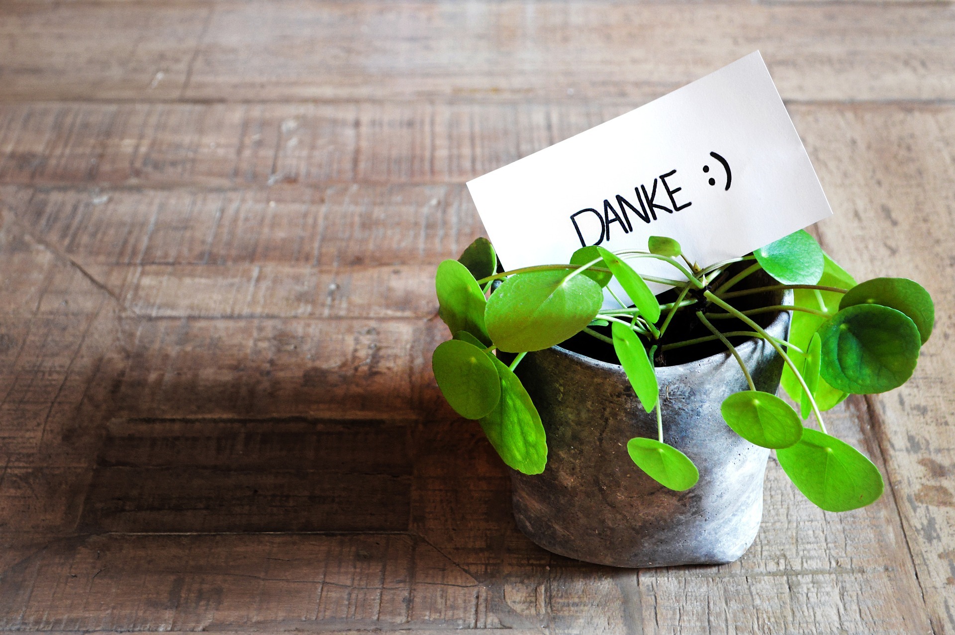 The 9 Best Online Courses to Learn German Quickly